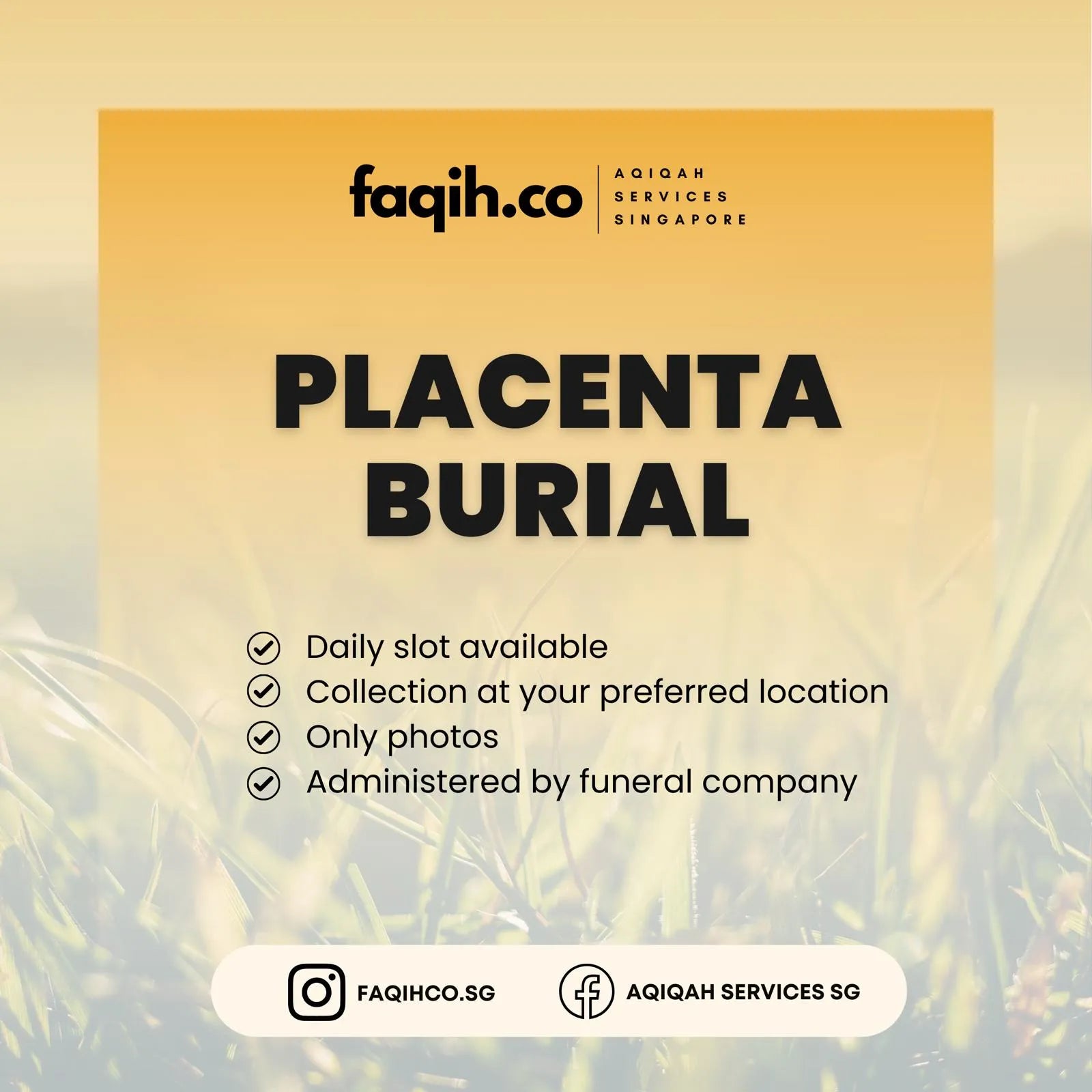 Placenta Burial – FAQIH.CO